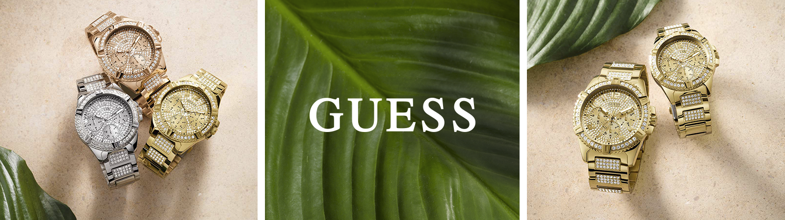 GUESS | Frontier
