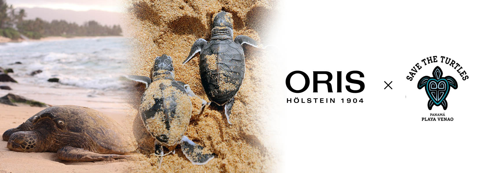 Duty Free Dynamics & ORIS supporting the ‘Save the Turtles’ Foundation ...